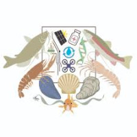 Shellfish farming meetings 2026 October Vannes