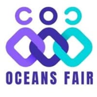 Oceans Fair Rosarito