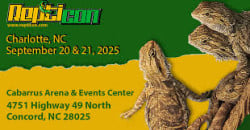North Carolina Repticon 2026 March Raleigh