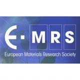 E MRS Spring Meeting and Exhibit 2025 Strasbourg