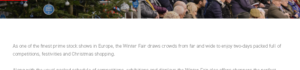 Winter Fair 2025 Llandrindod Wells