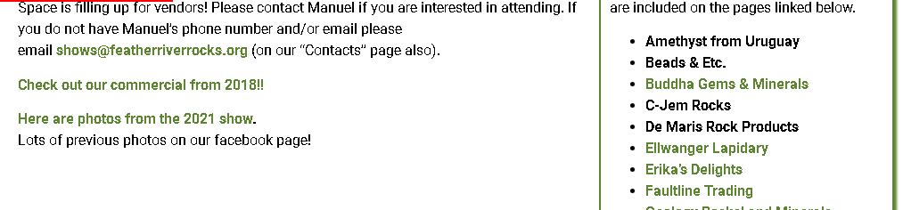 Chico Rock gimsteina- og skartgripasýning 2025 Chico