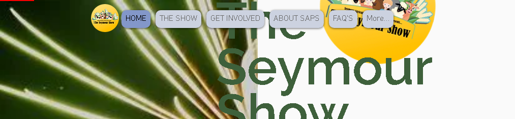 Great Seymour Show Off 2025 Seymour